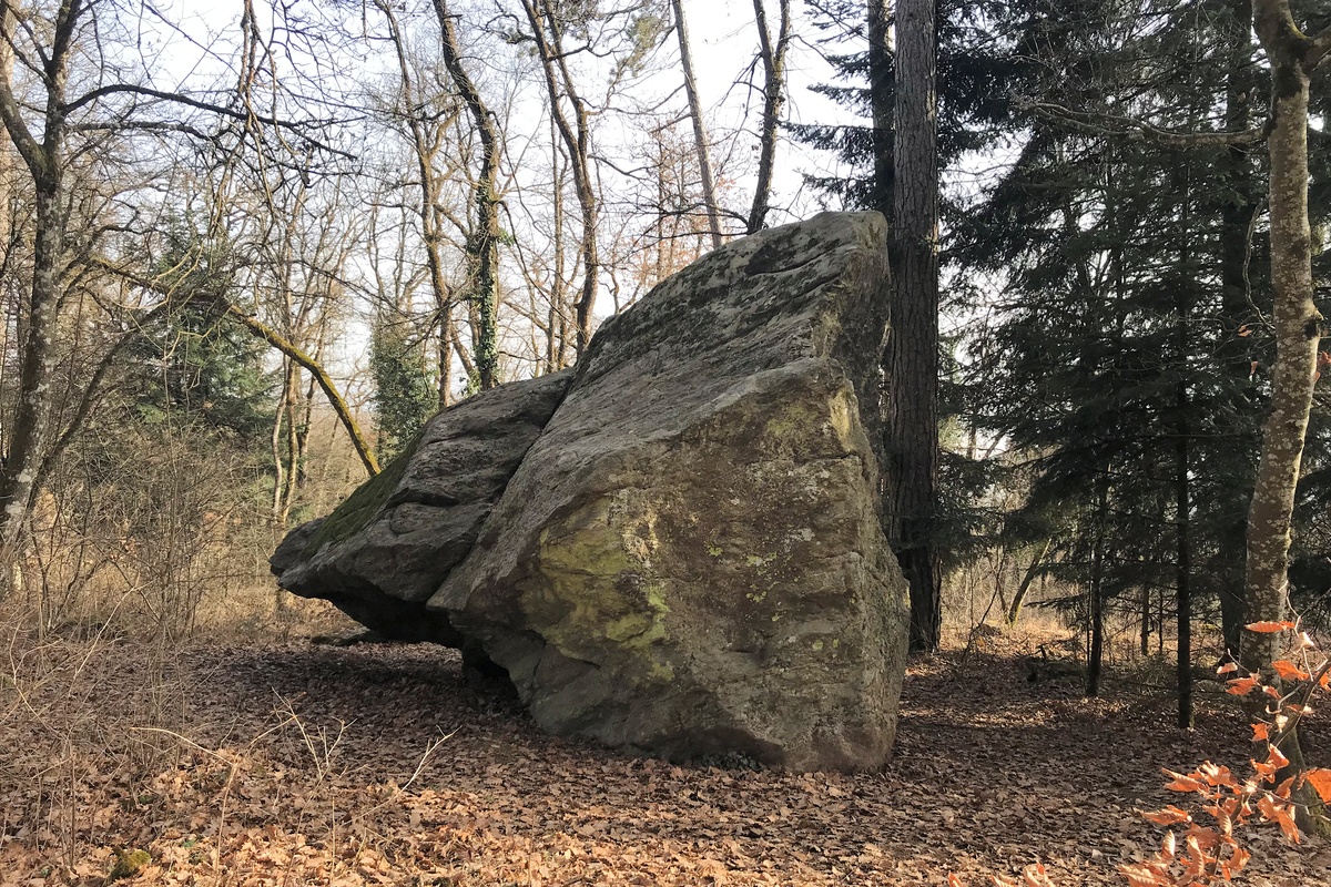 Erratic Stone Corcelles-Cormondrèche Natural Stone / Erratic / Other ...