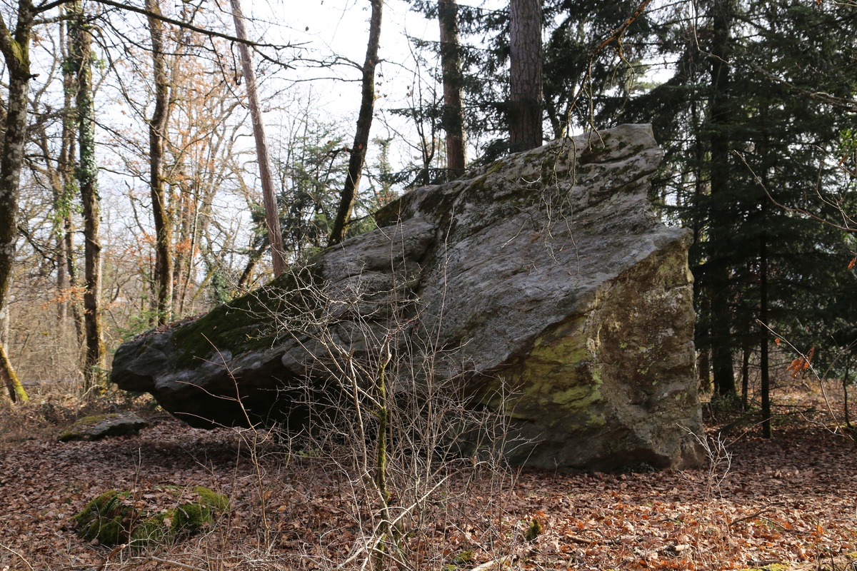 Erratic Stone Corcelles-Cormondrèche Natural Stone / Erratic / Other ...