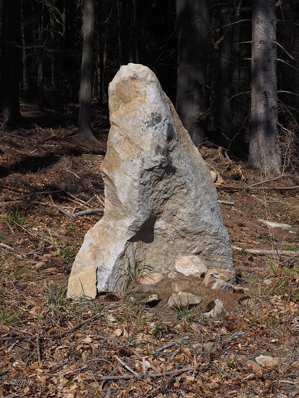 Menhirs of the Pink Hill, Bohemia | Megalithic Portal