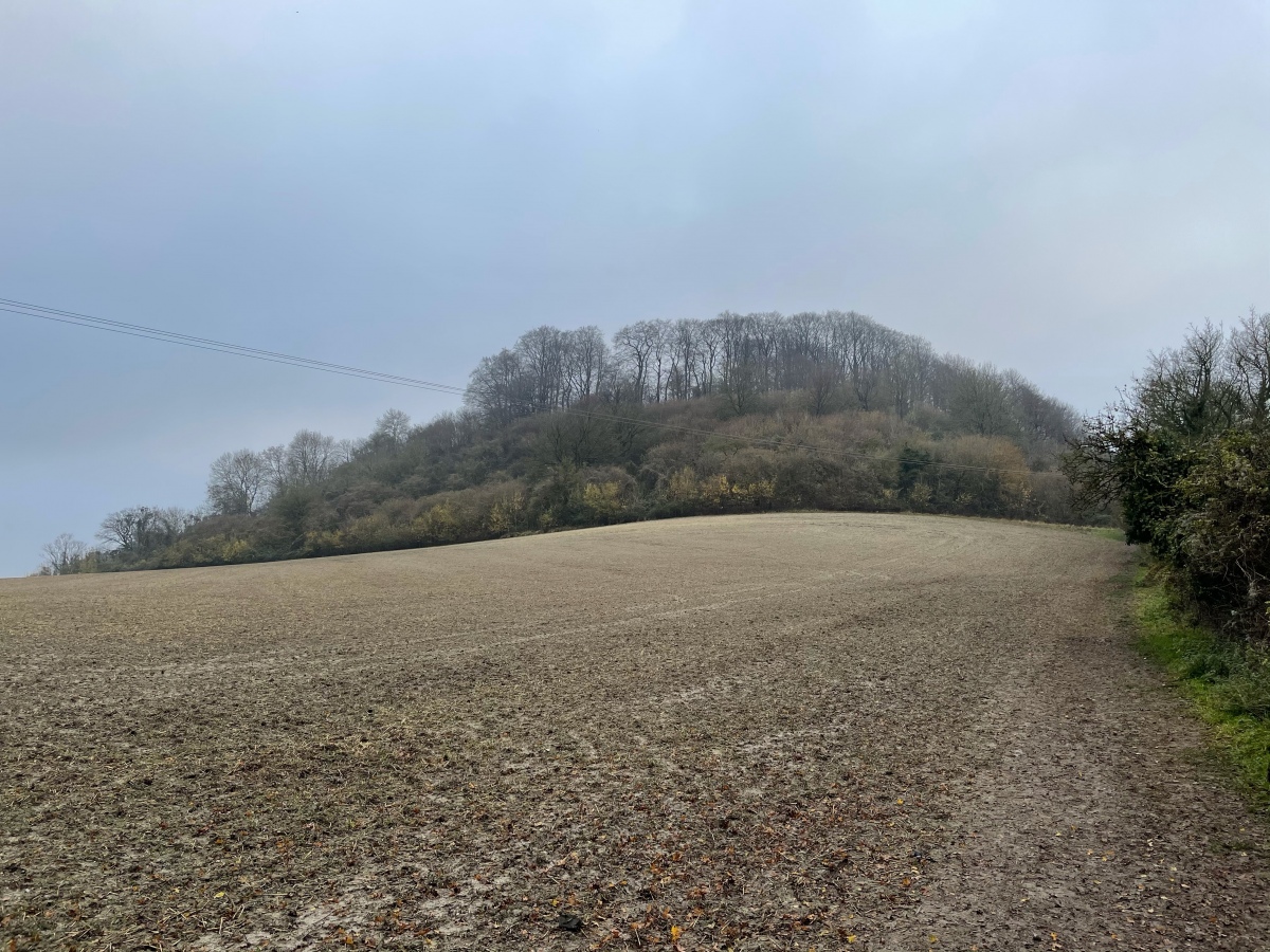 Sharpenhoe Clappers, Bedfordshire | Megalithic Portal