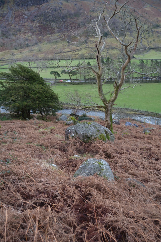 Borrowdale Stone Monument, Cumbria | Megalithic Portal
