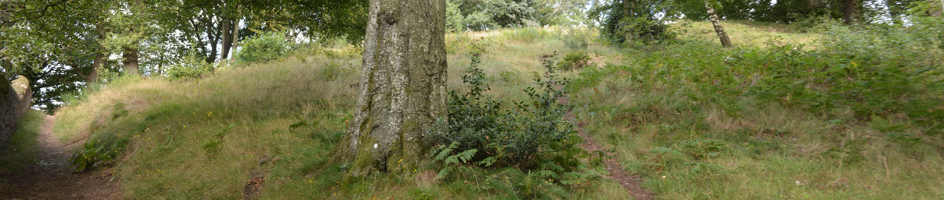 Brampton Castle Mound and Well, Cumbria | Megalithic Portal