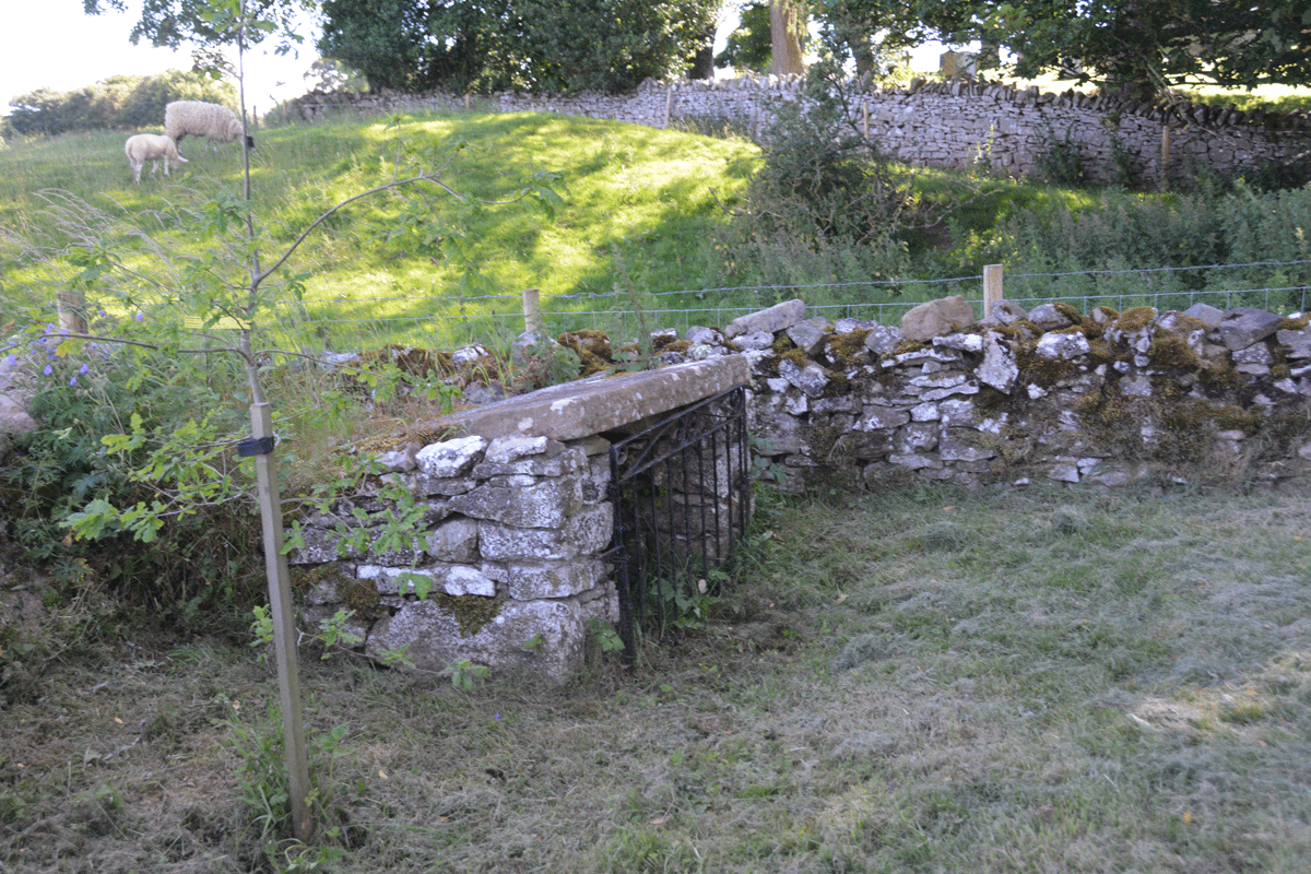 Low Well (Great Strickland) Holy Well or Sacred Spring : The Megalithic ...
