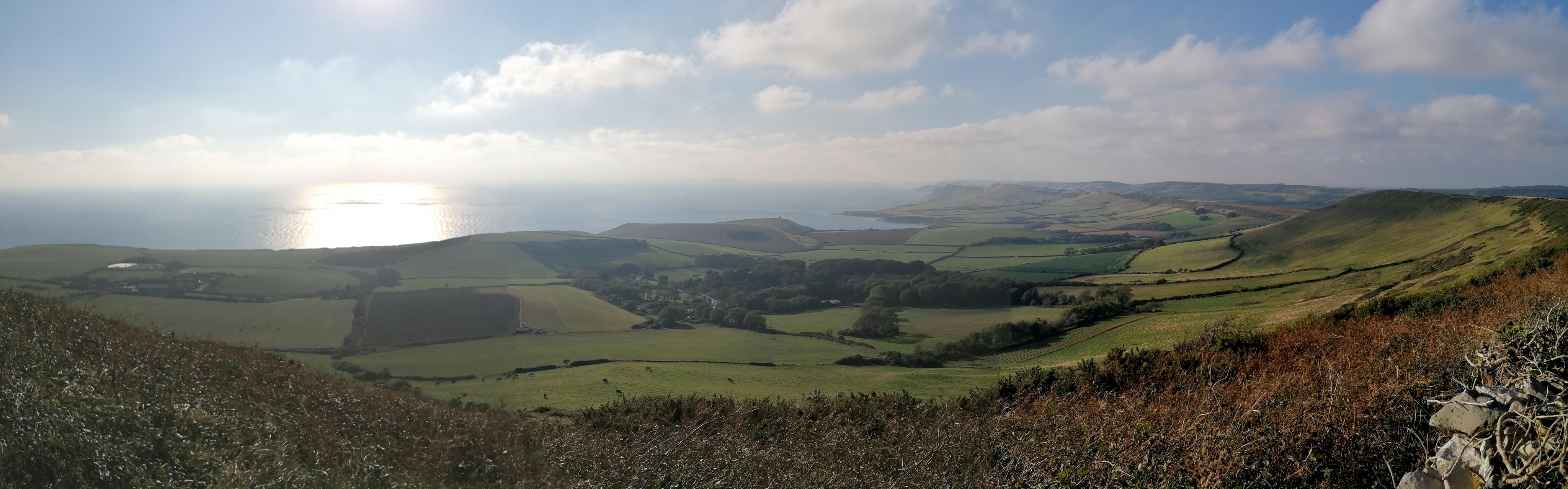 Swyre Head Round Barrow(s) : The Megalithic Portal and Megalith Map: