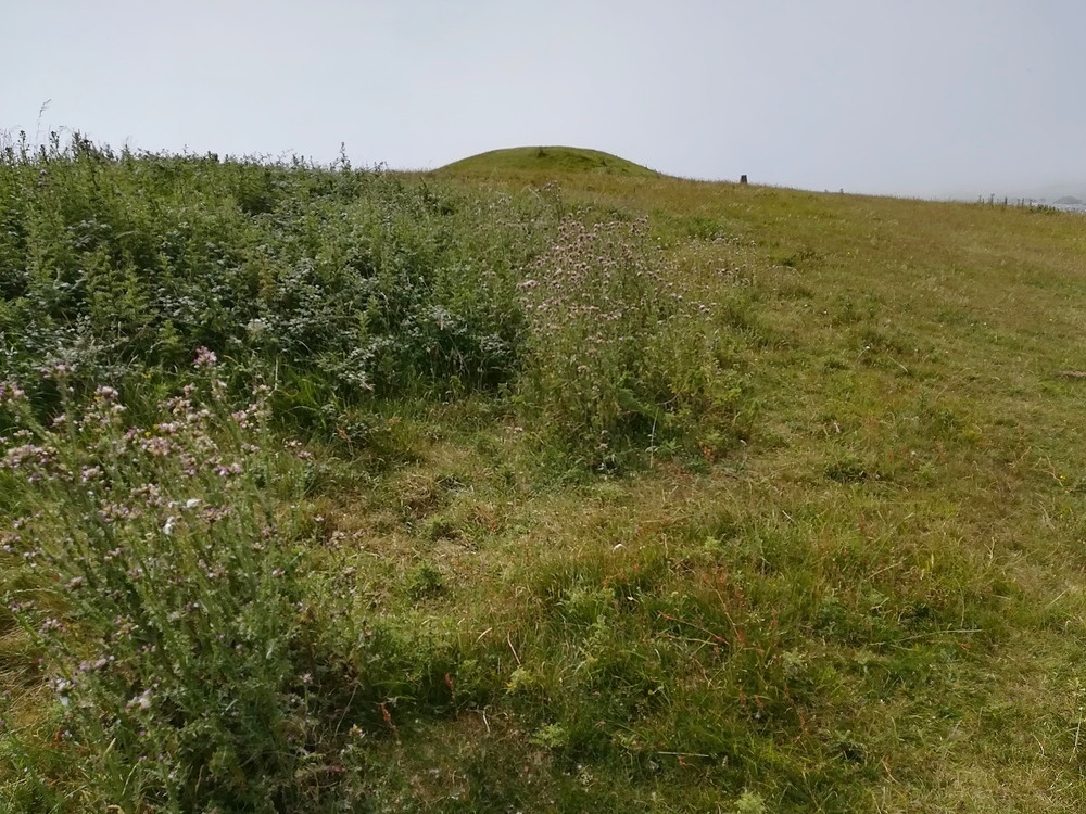 Hambury Tout Barrows, Dorset | Megalithic Portal