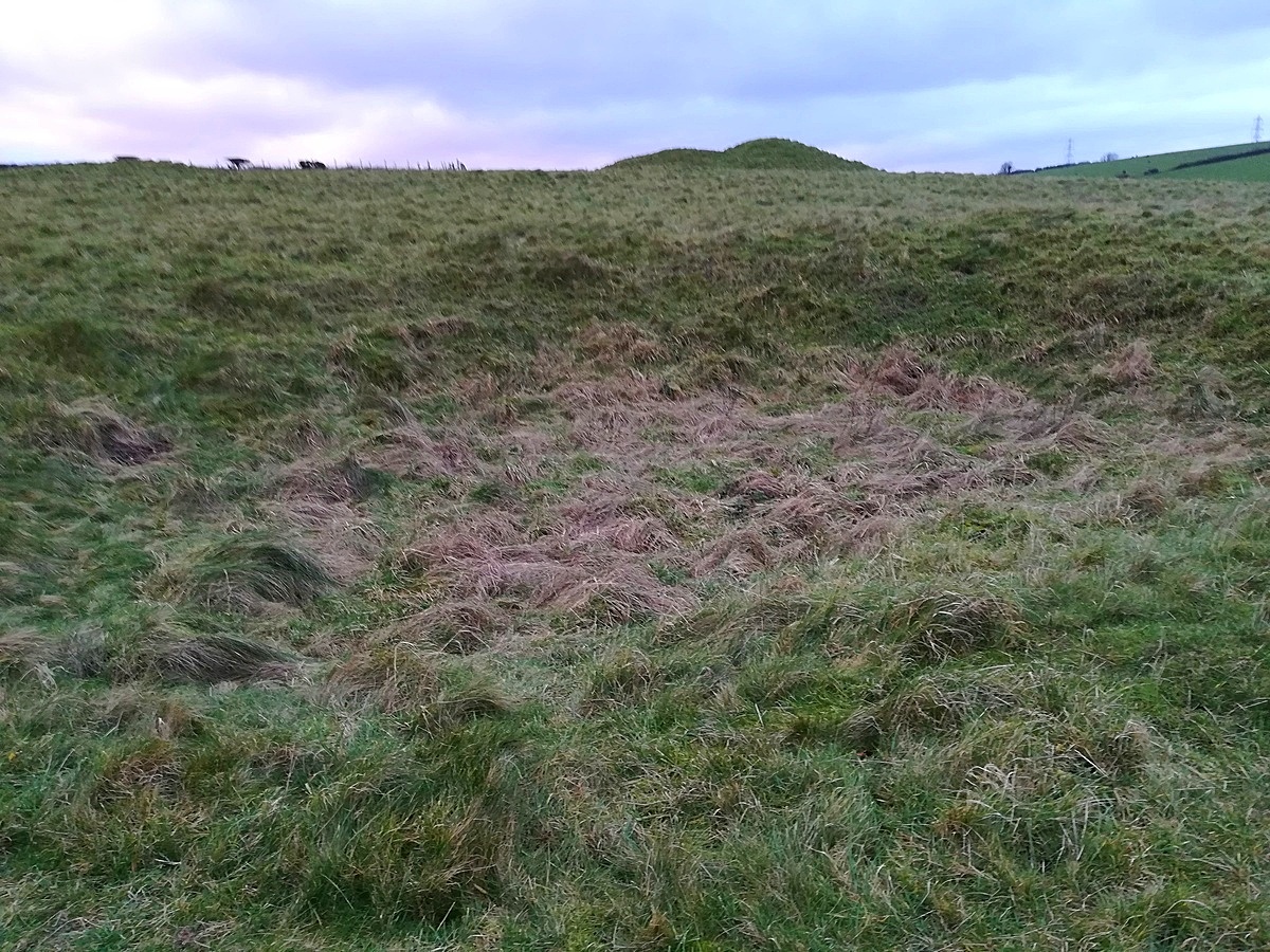 Poor Lot Barrows Barrow Cemetery : The Megalithic Portal and Megalith Map: