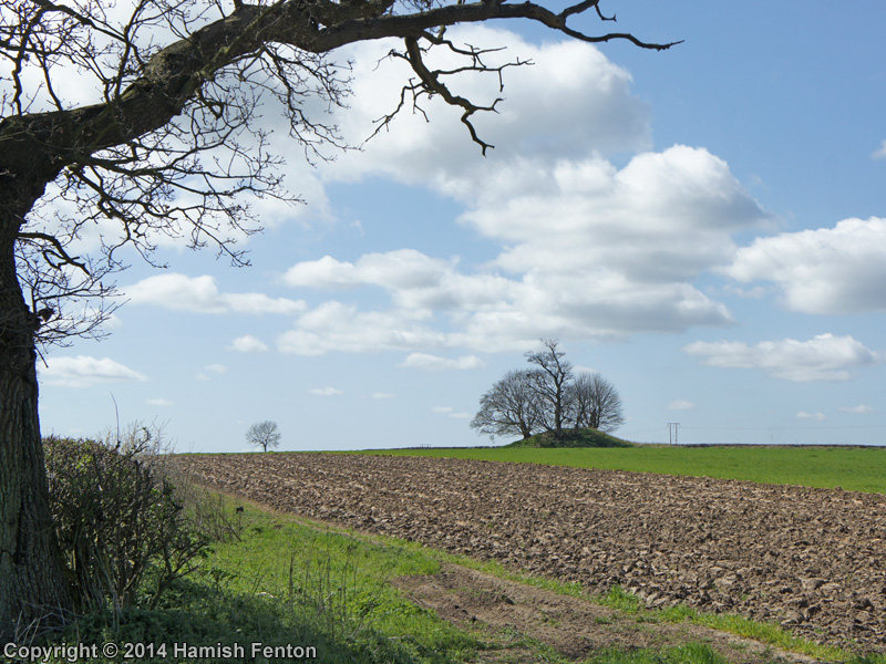 Fox Hill Tumulus, Yorkshire (East) | Megalithic Portal