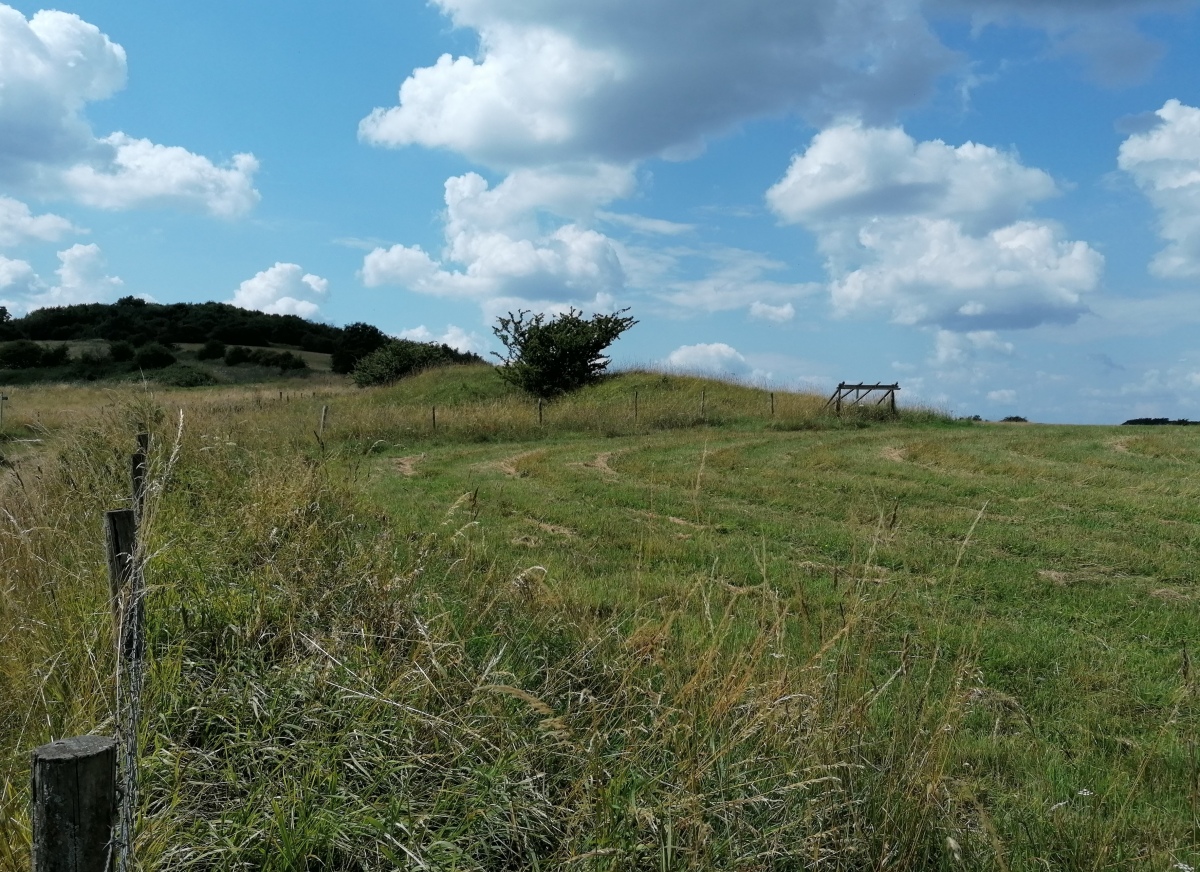 Coberley, Gloucestershire | Megalithic Portal