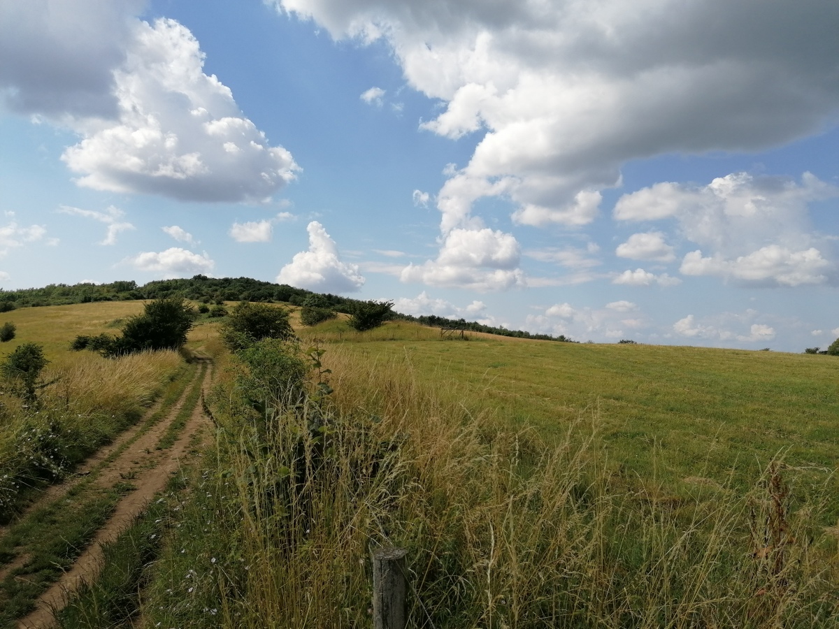 Coberley, Gloucestershire | Megalithic Portal