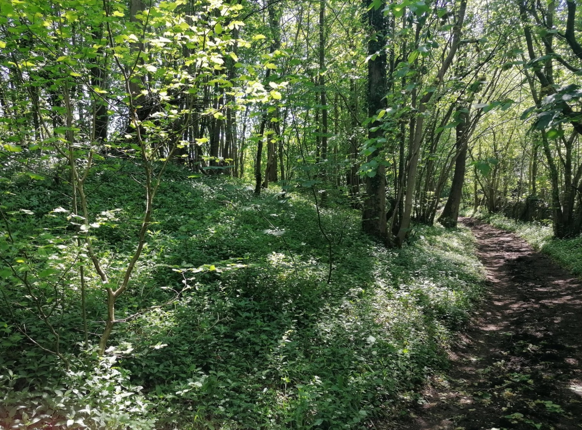 High Brotheridge, Gloucestershire | Megalithic Portal
