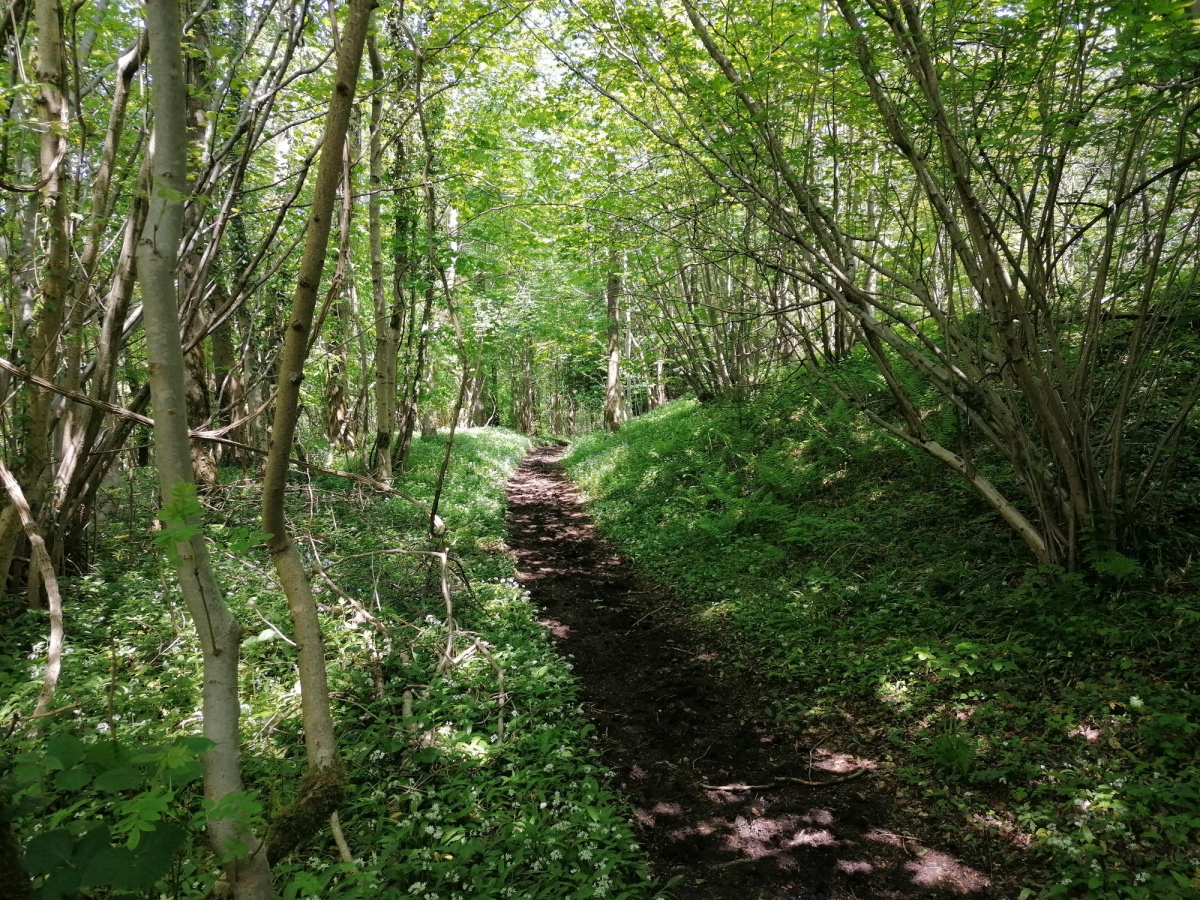 High Brotheridge, Gloucestershire | Megalithic Portal
