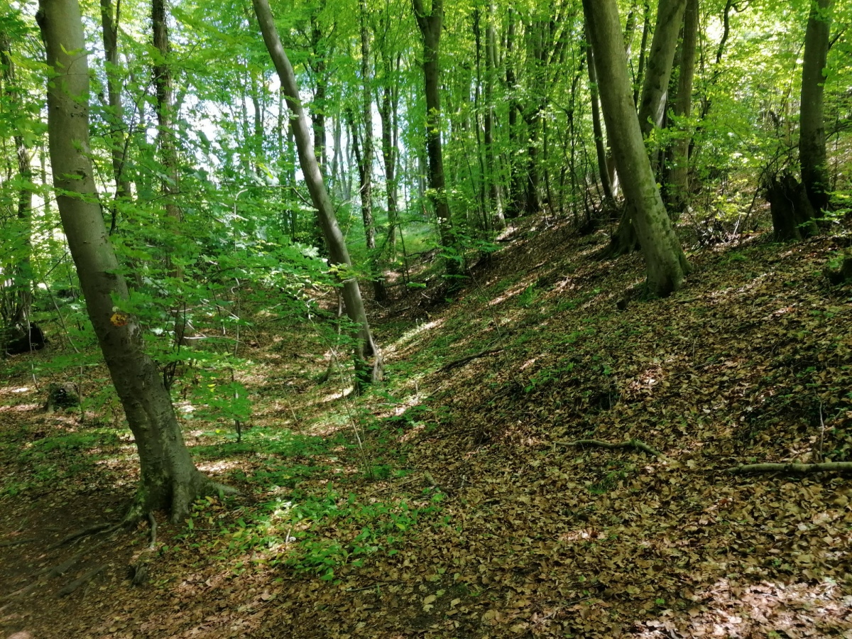 High Brotheridge, Gloucestershire | Megalithic Portal