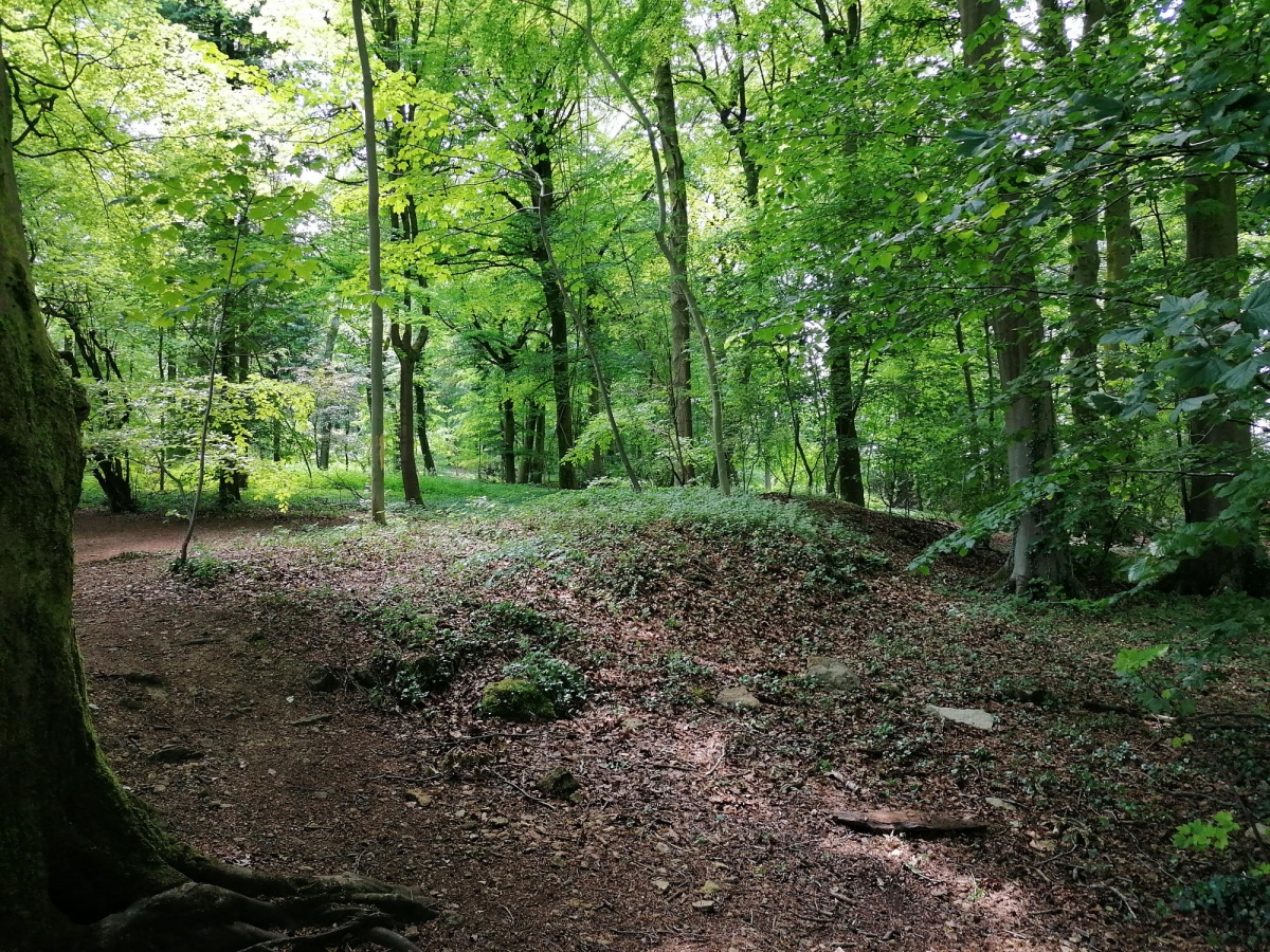 Birdlip Camp Hillfort : The Megalithic Portal and Megalith Map: