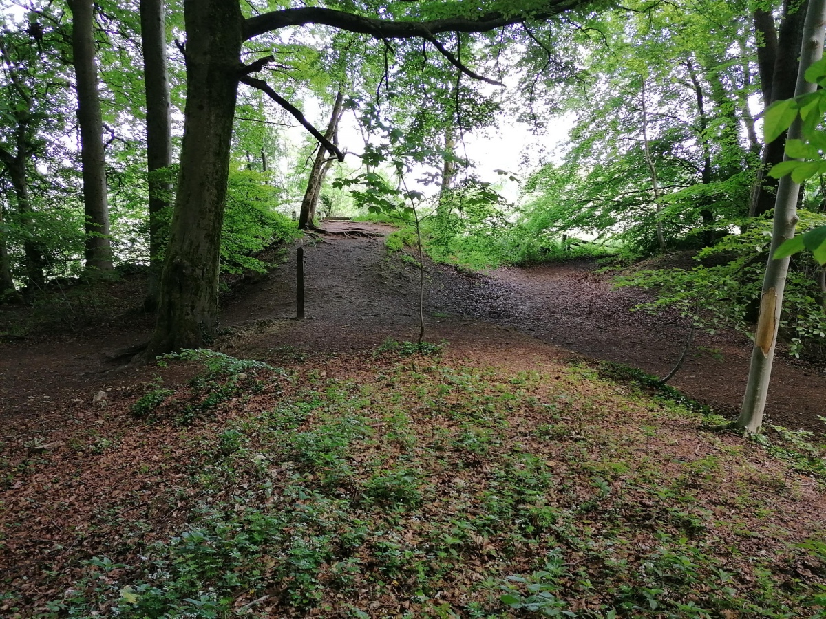 Birdlip Camp Hillfort : The Megalithic Portal and Megalith Map: