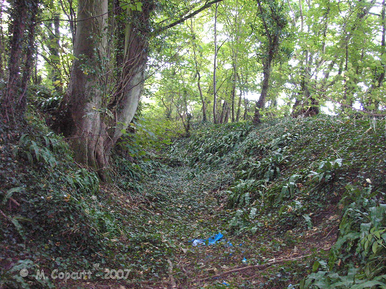 Dyrham Camp, Gloucestershire | Megalithic Portal