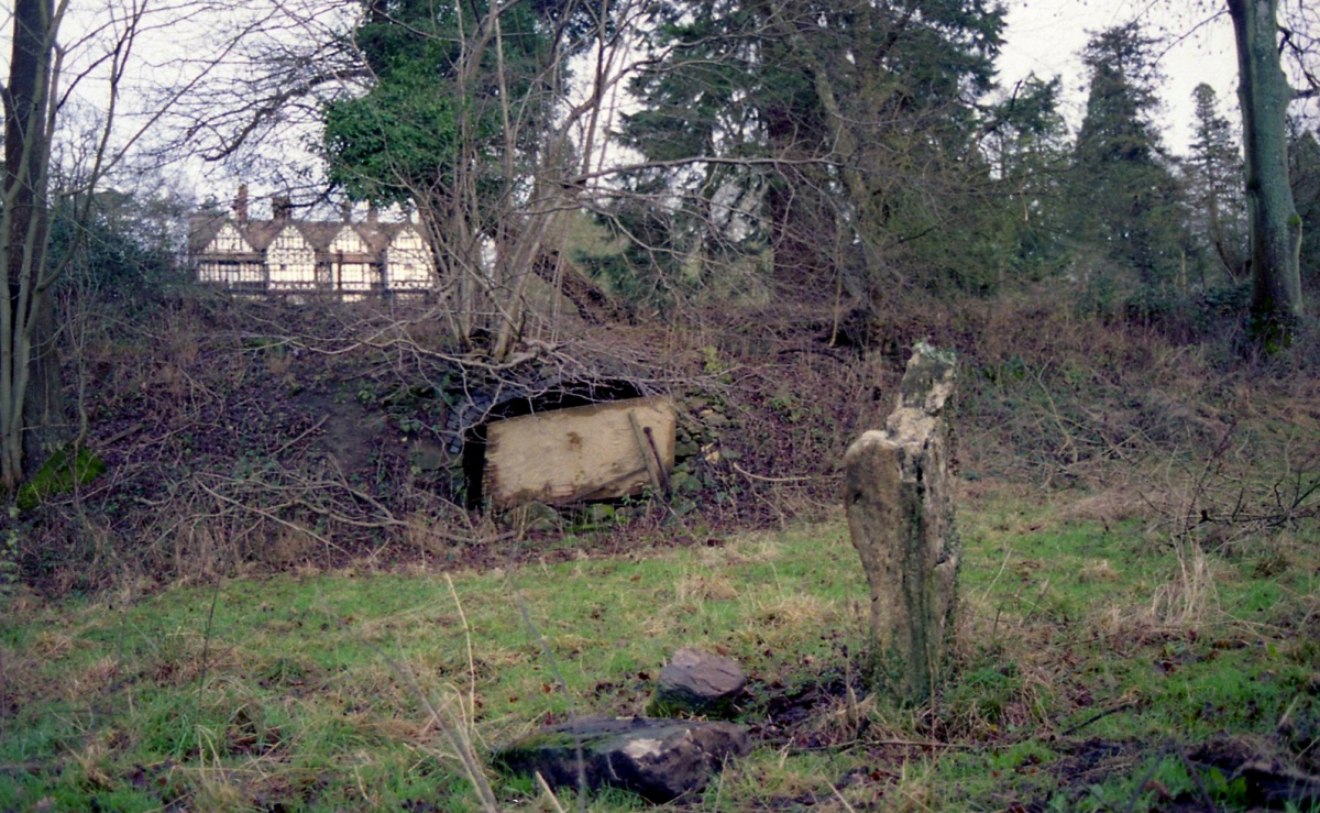 Beaudesert Park Standing Stone Standing Stone (Menhir) : The Megalithic ...