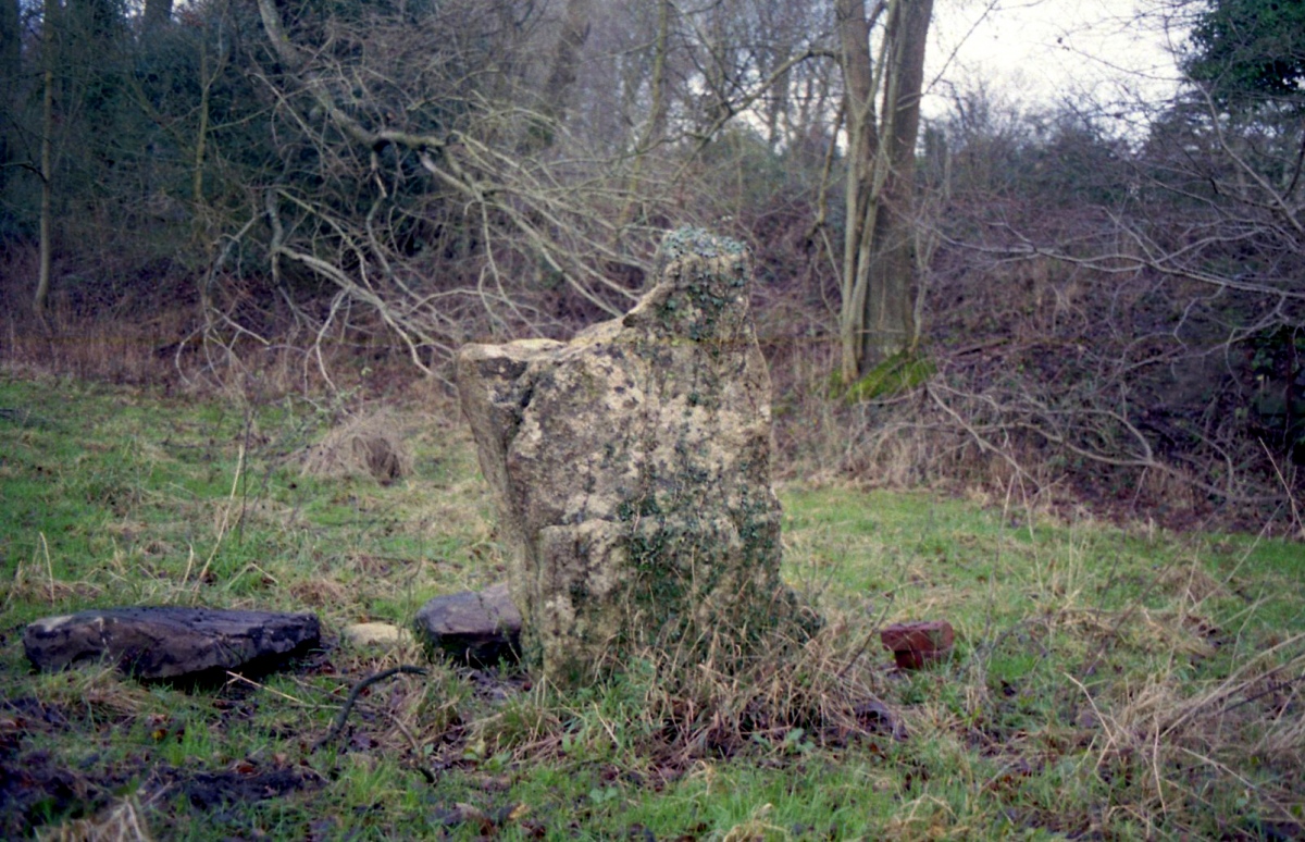 Beaudesert Park Standing Stone Standing Stone (Menhir) : The Megalithic ...