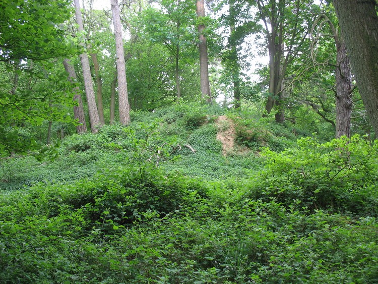 Freefolk Wood Bell Barrow, Hampshire | Megalithic Portal