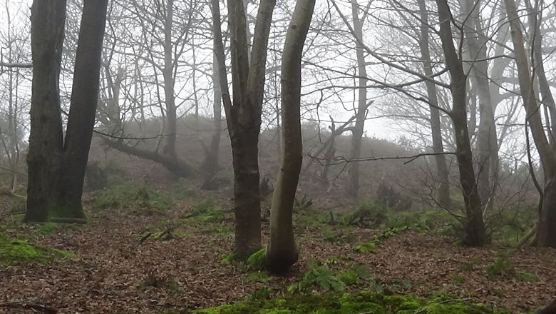 Black Barrow, Isle of Wight | Megalithic Portal