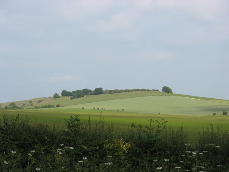 Quarley Hill [#NoRTR] Hillfort : The Megalithic Portal and Megalith Map: