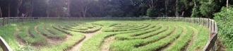 Breamore Miz-Maze [Miz Maze] Turf Maze : The Megalithic Portal and ...