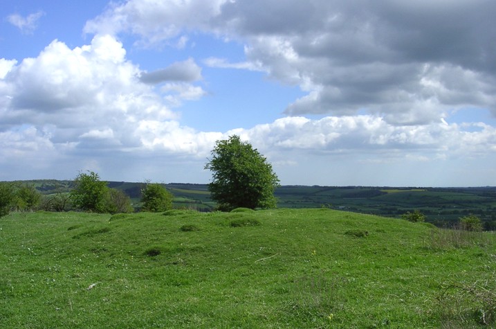 Beacon Hill (Warnford) Barrow Cemetery : The Megalithic Portal and ...