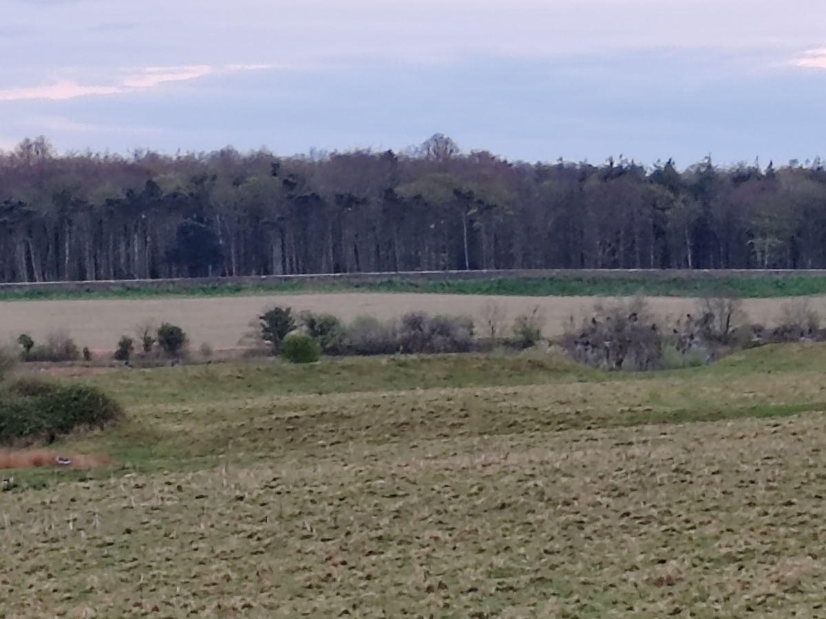Holkham Camp Hillfort : The Megalithic Portal and Megalith Map: