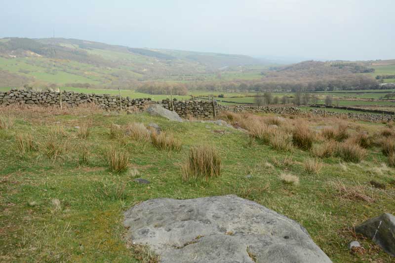 Tree of Life Stone, Yorkshire (North) | Megalithic Portal