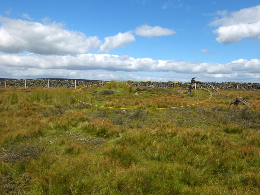 High Plantation (Bransdale Moor) Round Cairn : The Megalithic Portal ...