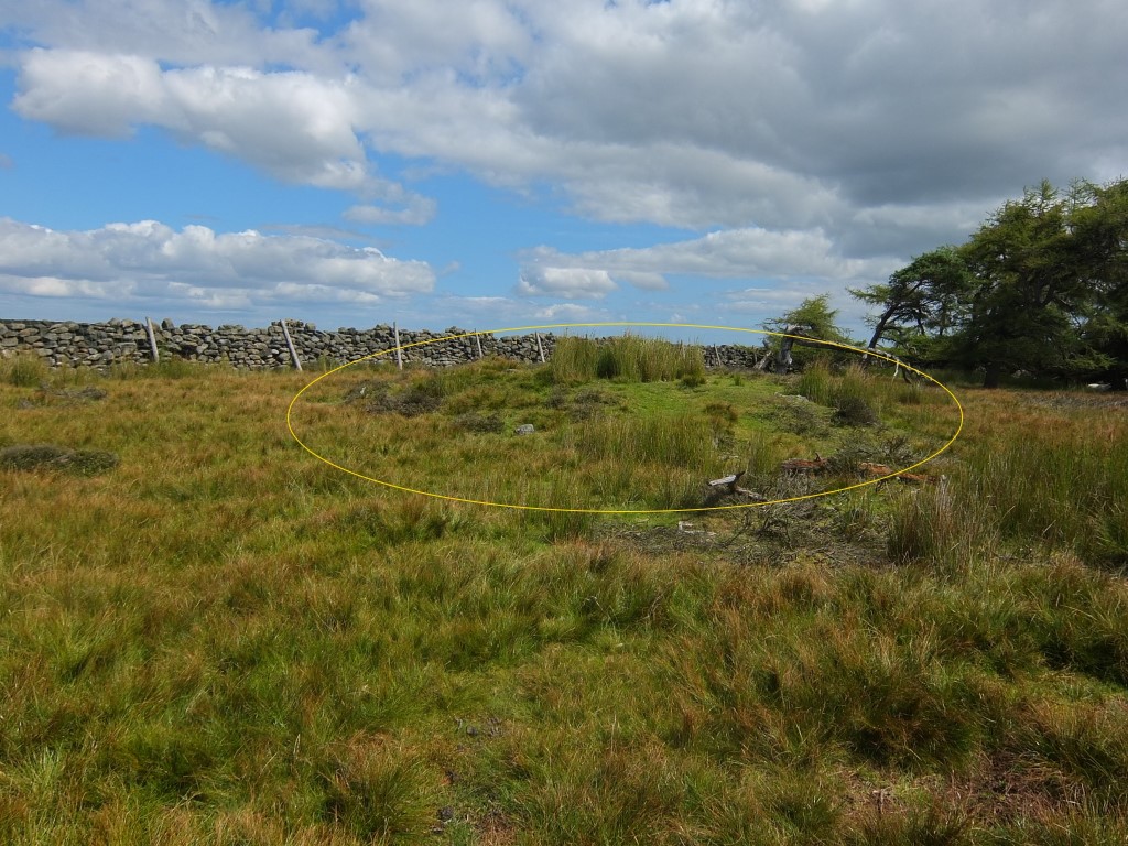 High Plantation (Bransdale Moor) Round Cairn : The Megalithic Portal ...