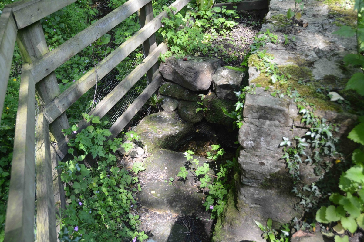St Michael's Well (Well), Yorkshire (North) | Megalithic Portal