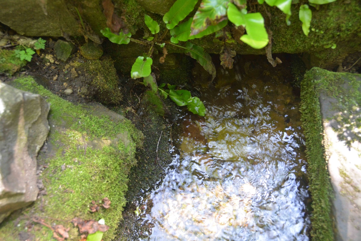 St Michael's Well (Well), Yorkshire (North) | Megalithic Portal