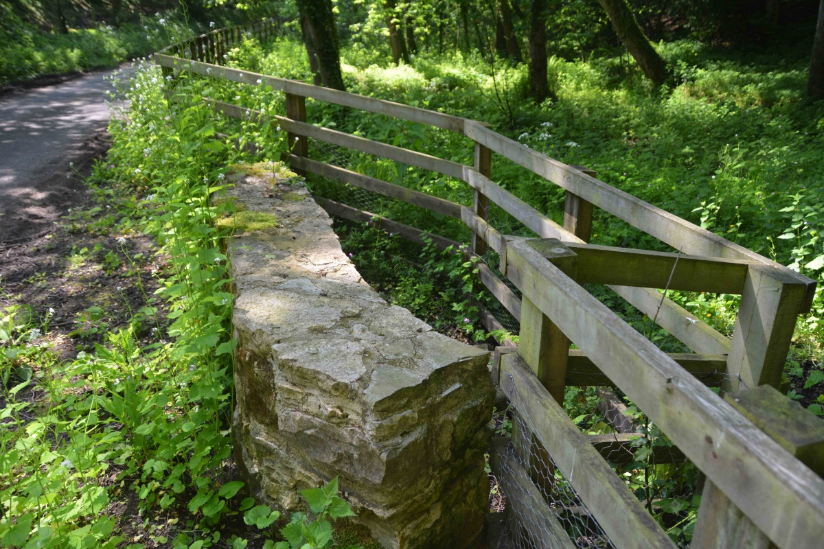 St Michael's Well (Well), Yorkshire (North) | Megalithic Portal