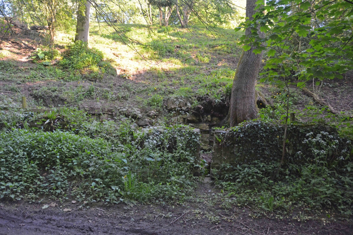 St Michael's Well (Well), Yorkshire (North) | Megalithic Portal