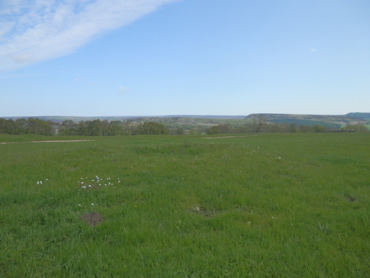 Sunny Bank Barrows Round Barrow(s) : The Megalithic Portal and Megalith ...