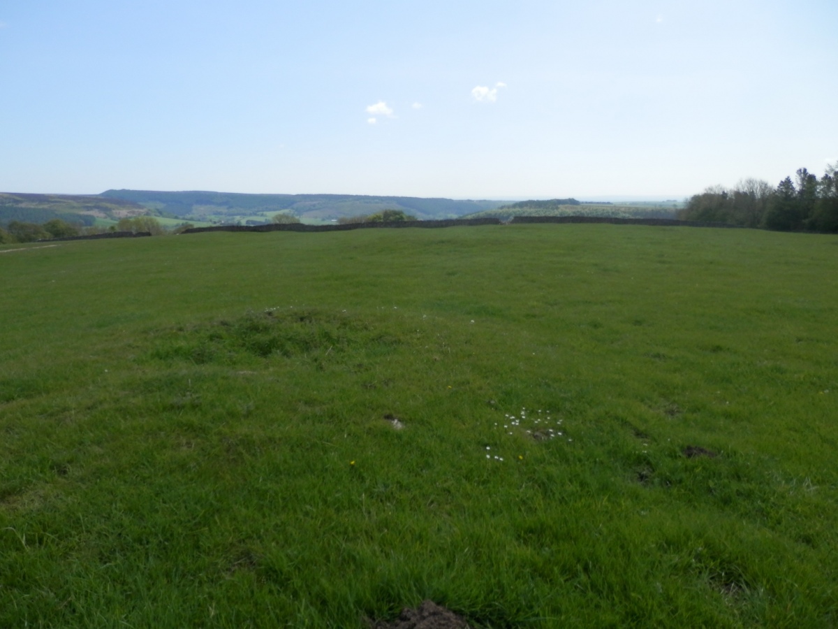 Sunny Bank Barrows Round Barrow(s) : The Megalithic Portal and Megalith ...