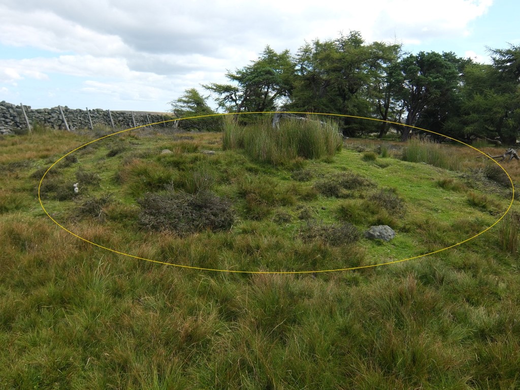 High Plantation (Bransdale Moor) Round Cairn : The Megalithic Portal ...