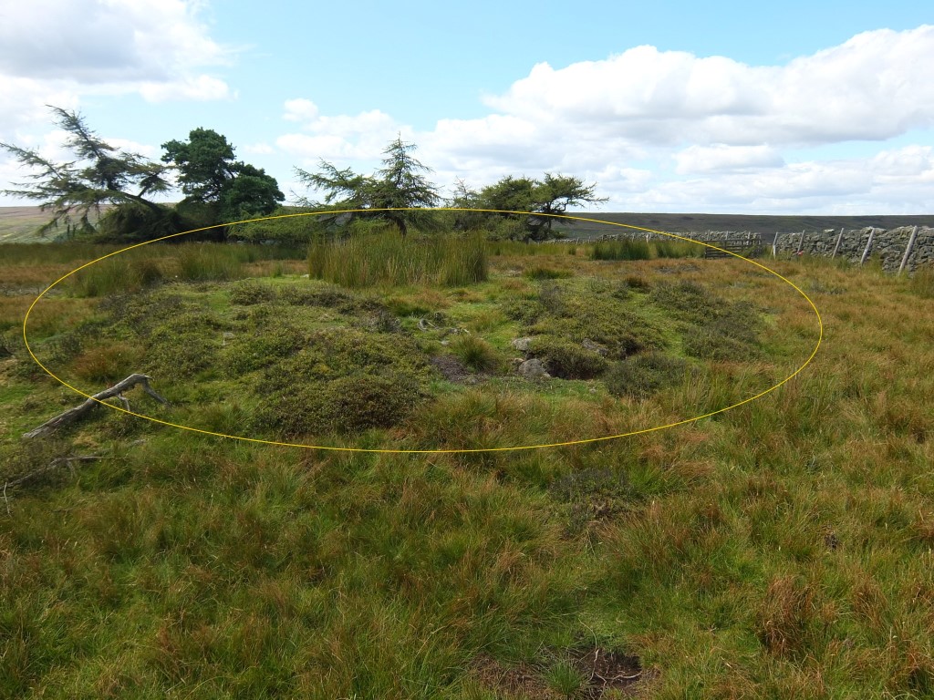 High Plantation (Bransdale Moor) Round Cairn : The Megalithic Portal ...