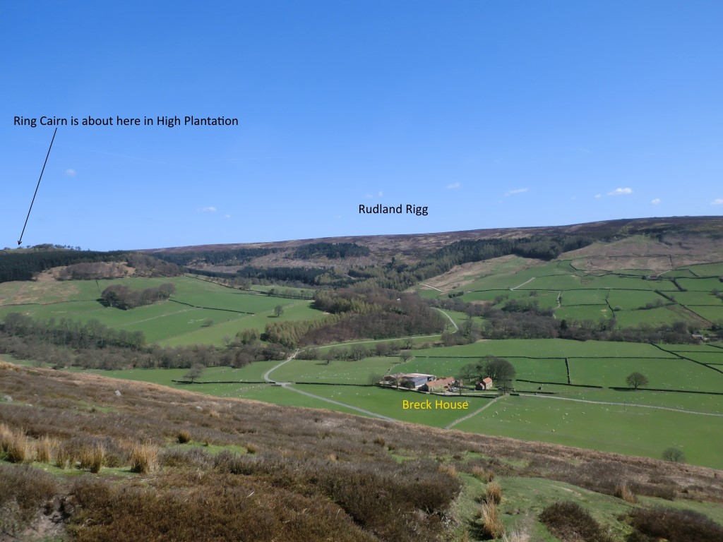 High Plantation (Bransdale Moor) Round Cairn : The Megalithic Portal ...