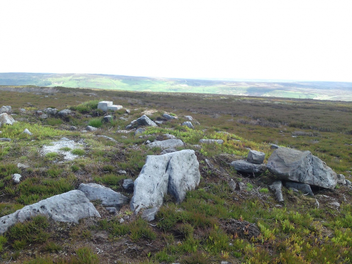 Bransdale Ridge (Low Cornfield House) [1000m west of Low Cornfield ...