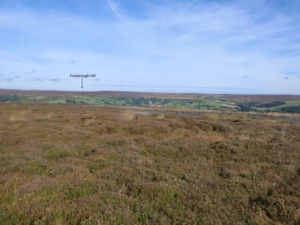 Ring Cairns (Ainthorpe / Danby Rigg), Yorkshire (North) | Megalithic Portal