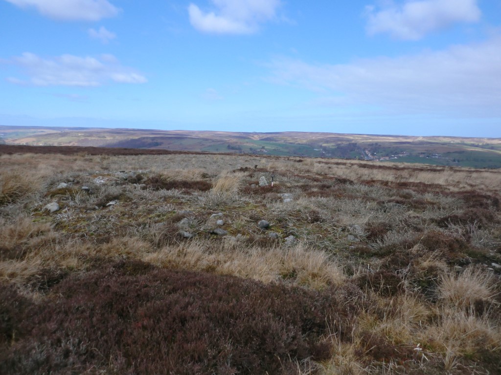 Ring Cairns (Ainthorpe / Danby Rigg), Yorkshire (North) | Megalithic Portal