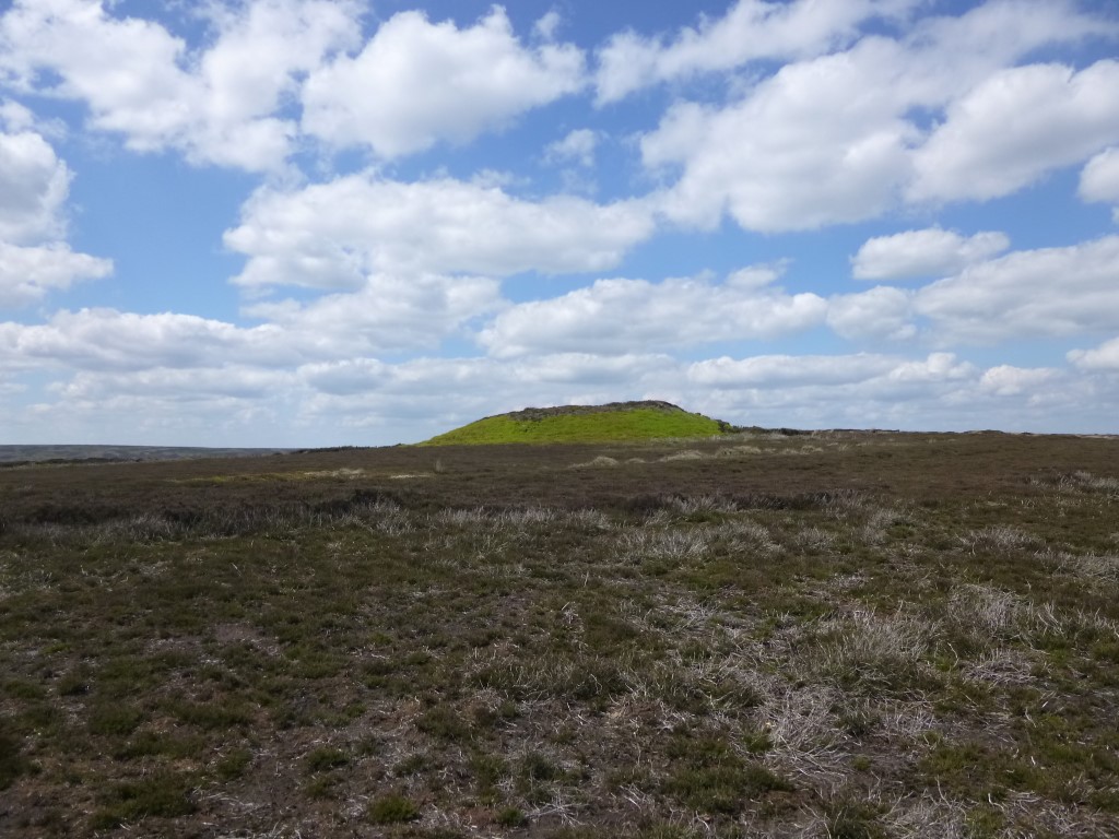 Three Howes Southern Pair (Bransdale) Cairn : The Megalithic Portal and ...