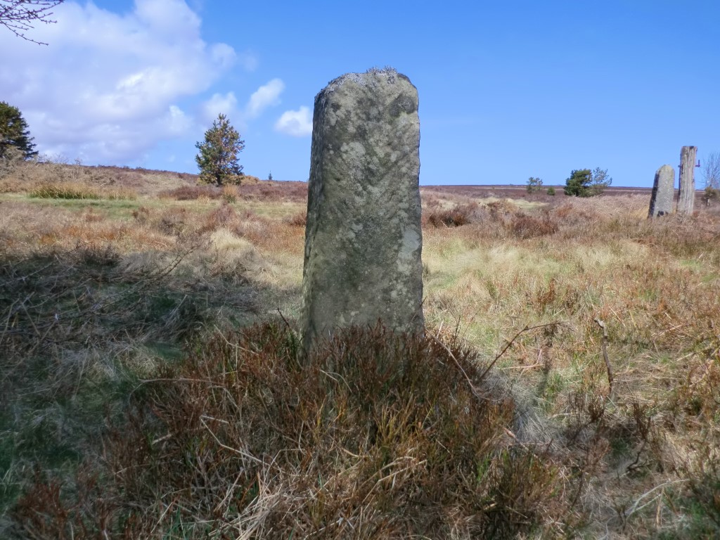 Green Dike and Three Lords’ Stones (Staintondale) Misc. Earthwork : The ...