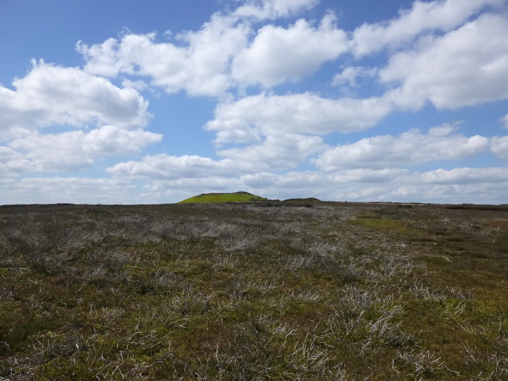 Three Howes Southern Pair (Bransdale) Cairn : The Megalithic Portal and ...