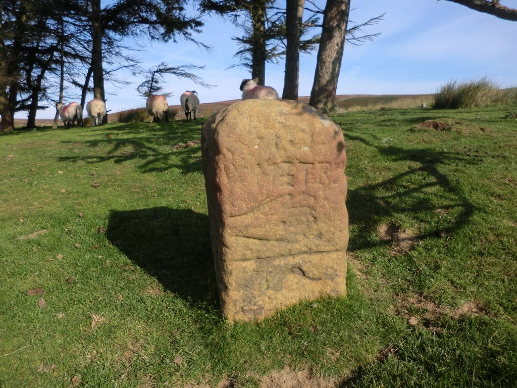 Hand Stone (Commondale), Yorkshire (North) | Megalithic Portal