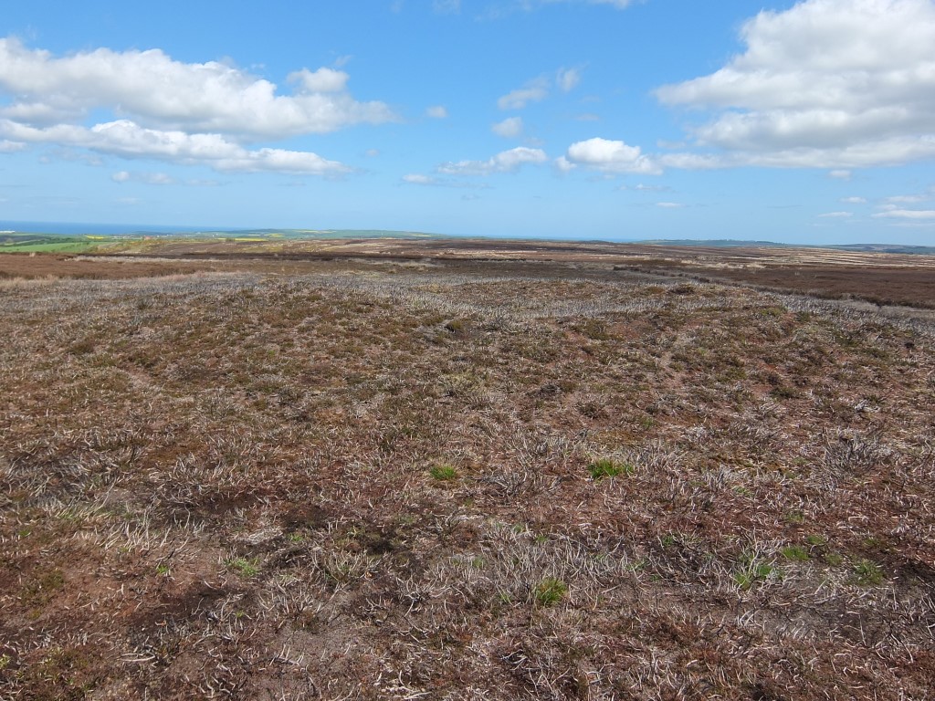 Siss Cross Hill - RBD Round Barrow(s) : The Megalithic Portal and ...