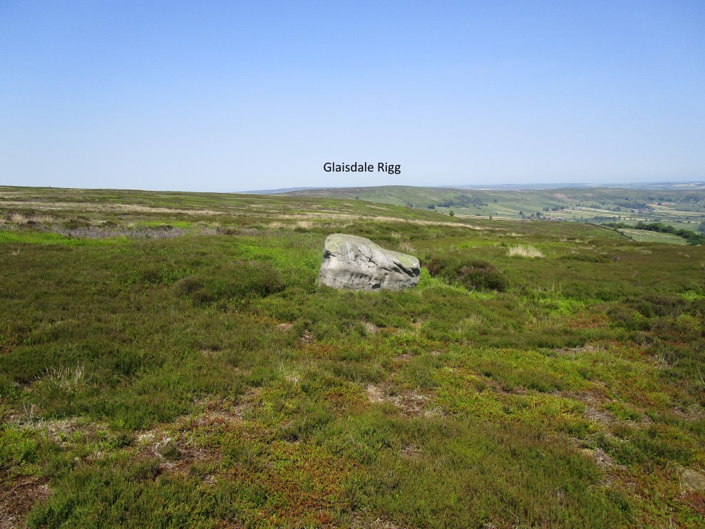 Grey Mare Stone (Glaisdale) Marker Stone : The Megalithic Portal and ...
