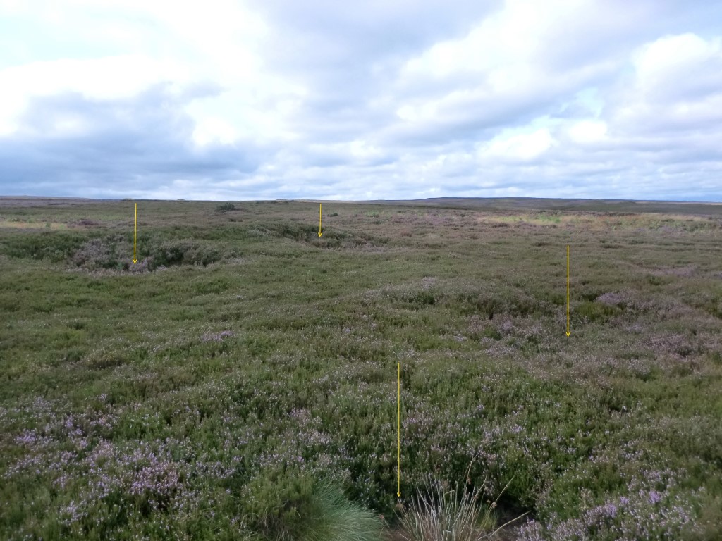 Black Dike Moor Segmented Pit Alignment Misc. Earthwork : The ...