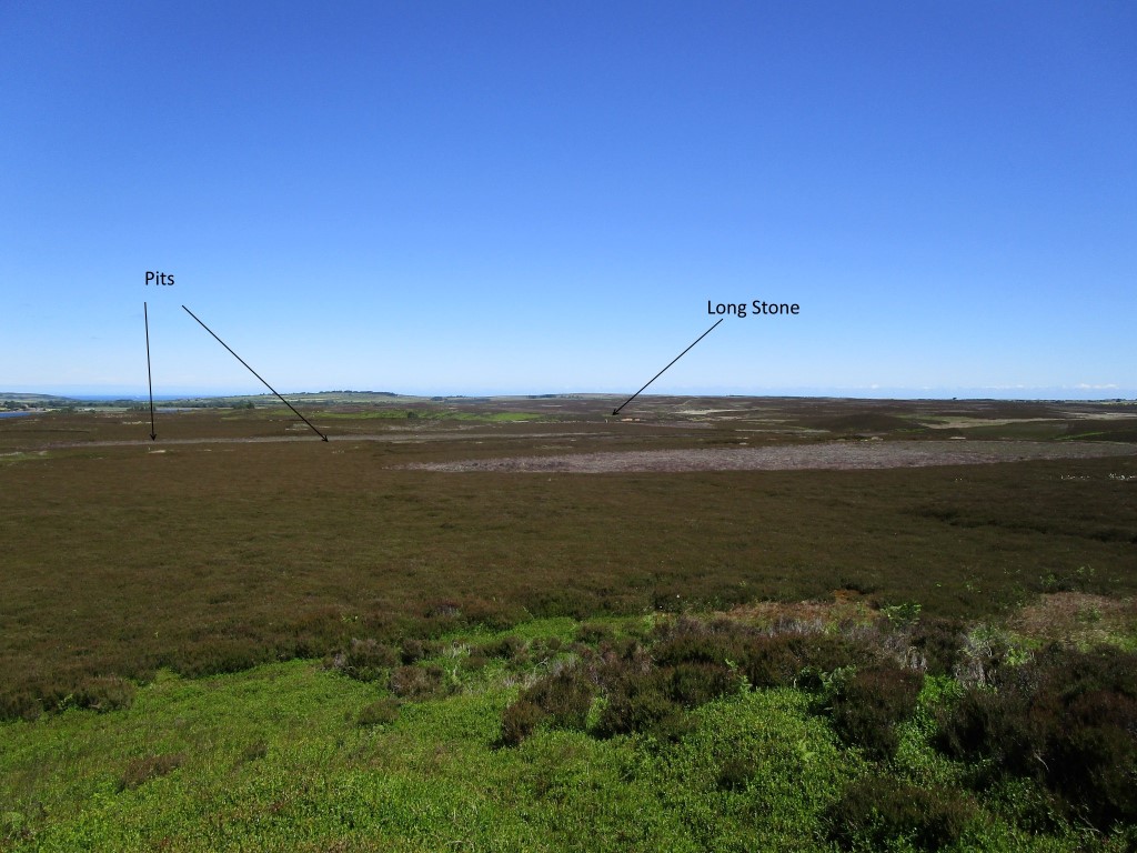 Long Stone (Easington High Moor), Yorkshire (North) | Megalithic Portal